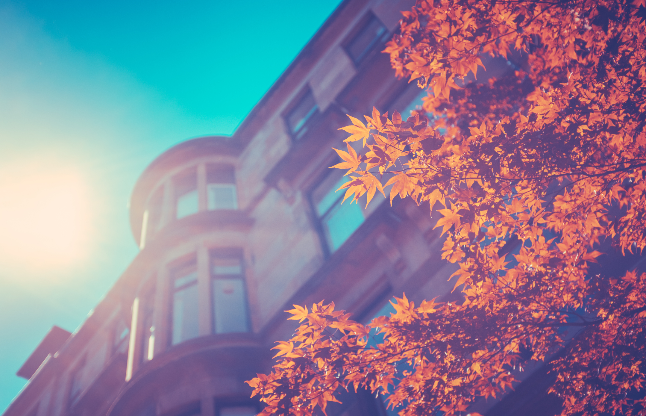 Short-term lets licensing scheme in Scotland: Planning permission ...