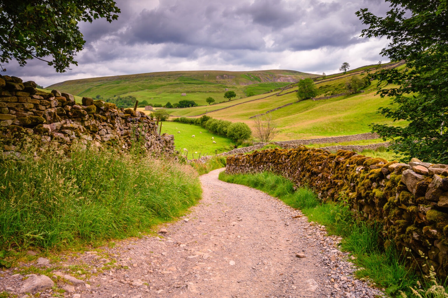 Community Right to Buy: What has changed in the Land Reform (Scotland ...